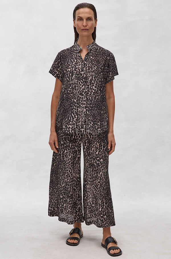 What's new Page 5 - Zambezee